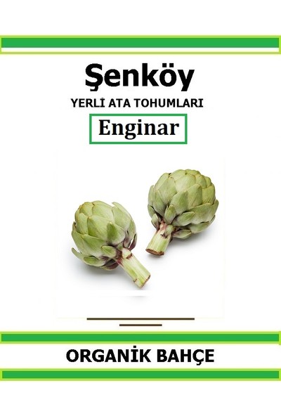 Şenköy Yerli Erkenci Enginar Tohumu Doğal Ata Tohum Pakette 10 Tohum + Hediye Sebze Tohumu Şenköy Yerli Erkenci Enginar Tohumu Doğal Ata Tohum Pakette 10 Tohum + Hediye Sebze Tohumu