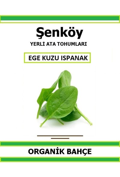 Şenköy Yerli Kuzu Ispanak Tohumu Doğal Ata Tohum Pakette 5 gr 500 Tohum + Hediye Sebze Tohumu Şenköy Yerli Kuzu Ispanak Tohumu Doğal Ata Tohum Pakette 5 gr 500 Tohum + Hediye Sebze Tohumu