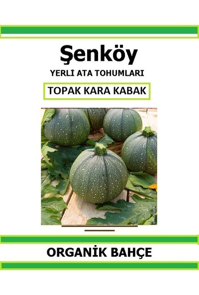 Şenköy Yerli Topak Kara Kabak Tohumu Doğal Ata Tohum Pakette 20 Tohum + Hediye Sebze Tohumu Şenköy Yerli Topak Kara Kabak Tohumu Doğal Ata Tohum Pakette 20 Tohum + Hediye Sebze Tohumu