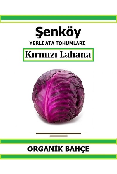 Şenköy Yerli Kırmızı Lahana Tohumu Doğal Ata Tohum Pakette 100 Tohum + Hediye Sebze Tohumu Şenköy Yerli Kırmızı Lahana Tohumu Doğal Ata Tohum Pakette 100 Tohum + Hediye Sebze Tohumu