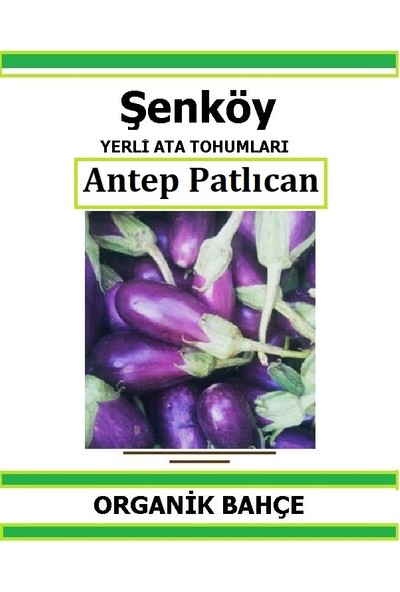 Şenköy Yerli Antep Mor Patlıcan Tohumu Doğal Ata Tohum Pakette 20 Tohum + Hediye Sebze Tohumu Şenköy Yerli Antep Mor Patlıcan Tohumu Doğal Ata Tohum Pakette 20 Tohum + Hediye Sebze Tohumu