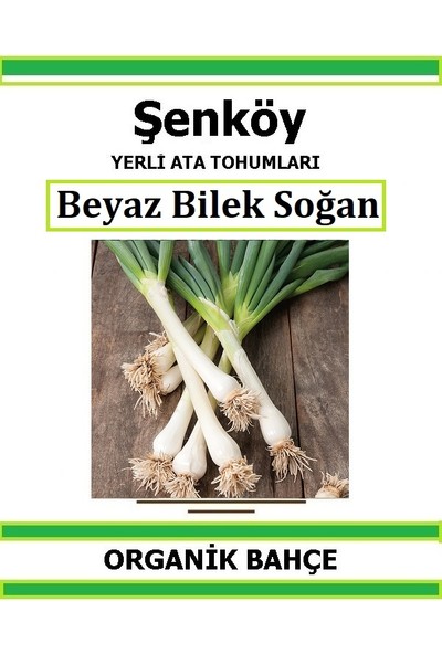 Şenköy Yerli Yeşil Taze Soğan Tohumu Doğal Ata Tohum Pakette 2 gr 500 Tohum + Hediye Sebze Tohumu Şenköy Yerli Yeşil Taze Soğan Tohumu Doğal Ata Tohum Pakette 2 gr 500 Tohum + Hediye Sebze Tohumu
