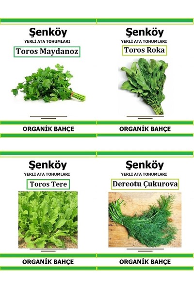Şenköy Yerli 4 Lü Yeşillik Seti Toros Maydanoz Tohumu + Roka Tohumu +Tere Tohumu + Dereotu Tohumu Şenköy Yerli 4 Lü Yeşillik Seti Toros Maydanoz Tohumu + Roka Tohumu +Tere Tohumu + Dereotu Tohumu