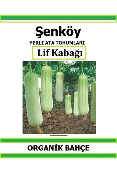 Şenköy Yerli Lif Kabak Tohumu Doğal Ata Tohum Pakette 10 Tohum + Hediye Sebze Tohumu Şenköy Yerli Lif Kabak Tohumu Doğal Ata Tohum Pakette 10 Tohum + Hediye Sebze Tohumu