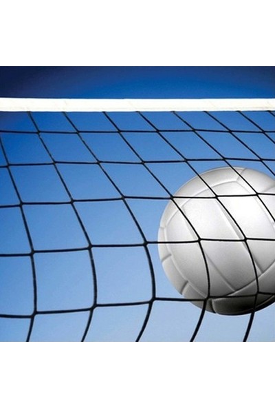 JaspEAdo Master Of Nets Voleybol Filesi Okul Tipi