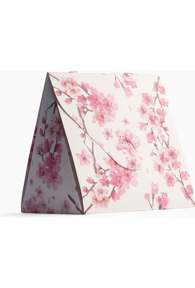 50'li 3,1 Desi Üçgen Çanta 24X24X16CM - Pembe