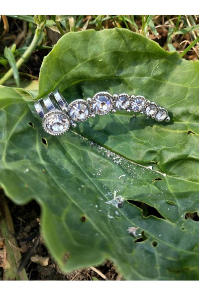 Hearmibaha Kıkırdak Küpe