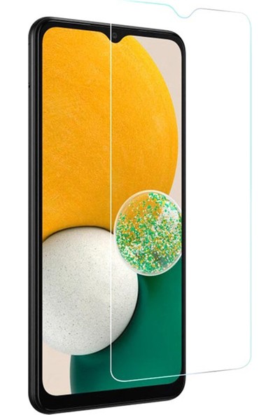 Nanospace Samsung Galaxy F13 Nano Cam Ekran Koruyucu