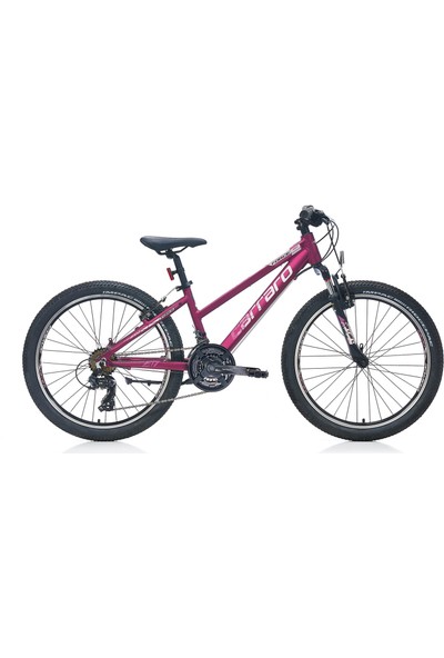 Carraro 24J Carraro Force 401 Bayan Dağ Bisikleti - Mat Mürdüm - 32