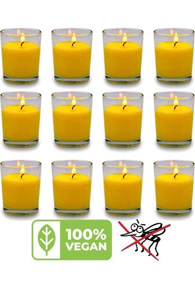 10 Adet Sinek Kovan Bardak Mum Citronella Kokusu Vegan Mum 10 Adet Sinek Kovan Bardak Mum Citronella Kokusu Vegan Mum