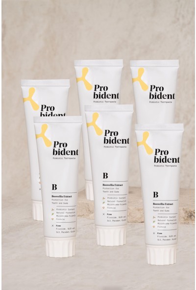 Probident Akgünlük Özüt Ilaveli 6'lı