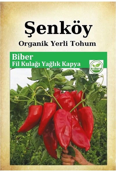 Şenköy Yerli Fil Kulağı Kapya Biber Tohumu Doğal Ata Salçalık Biber Tohumu Pakette 5 gr 750 Adet Şenköy Yerli Fil Kulağı Kapya Biber Tohumu Doğal Ata Salçalık Biber Tohumu Pakette 5 gr 750 Adet