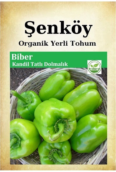 Şenköy Yerli Kandil Dolmalık Biber Tohumu Doğal Ata Dolmalık Biber Tohumu Pakette 5 gr 750 Tohum Şenköy Yerli Kandil Dolmalık Biber Tohumu Doğal Ata Dolmalık Biber Tohumu Pakette 5 gr 750 Tohum