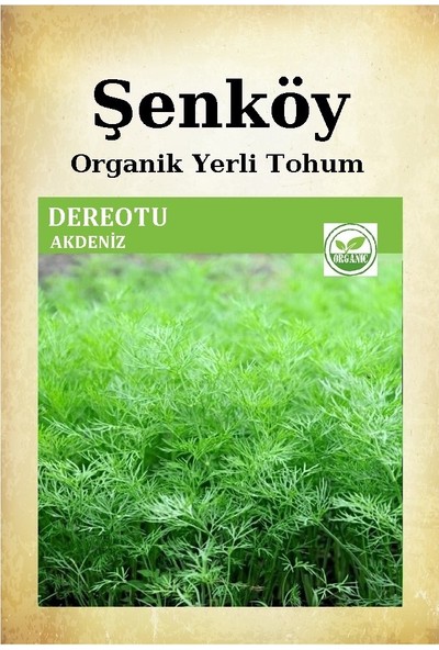 Şenköy Yerli Dereotu Tohumu Akdeniz Doğal Ata Dere Otu Tohumu 1 Pakette 25 gr 17500 Adet Şenköy Yerli Dereotu Tohumu Akdeniz Doğal Ata Dere Otu Tohumu 1 Pakette 25 gr 17500 Adet