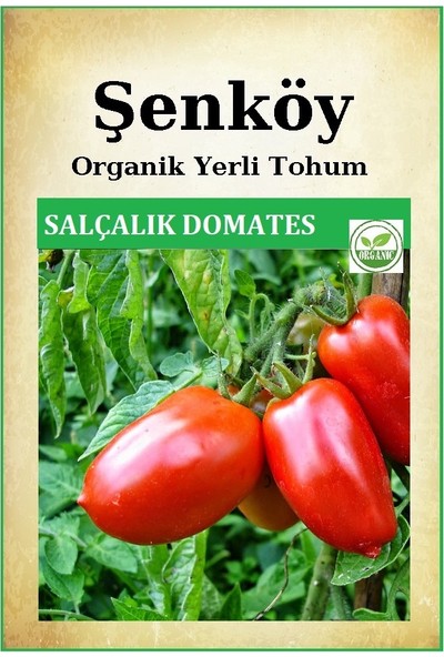 Şenköy Yerli Bursa Salçalık Domates Tohumu Etli Doğal Salçalık Domates Tohumu Pakette 2 gr 500 Tohum Şenköy Yerli Bursa Salçalık Domates Tohumu Etli Doğal Salçalık Domates Tohumu Pakette 2 gr 500 Tohum