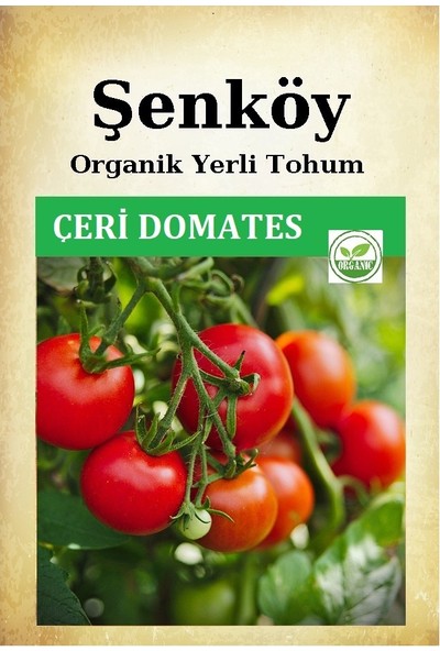 Şenköy Yerli Sırık Salkım Çeri Domates Tohumu Doğal Küçük Domates Tohumu Pakette 100 Adet Tohum Şenköy Yerli Sırık Salkım Çeri Domates Tohumu Doğal Küçük Domates Tohumu Pakette 100 Adet Tohum