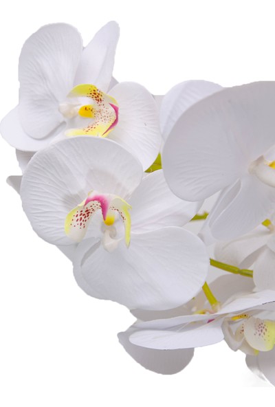 Yapay Çiçek Dükkanı Yapay Çicek Dükkanı Siyah Saksılı Orkide