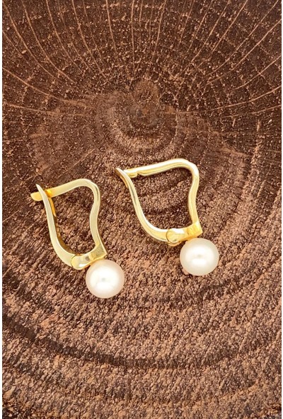 BIRINCI1926 925 Ayar Gümüş Kadın Inci Küpe