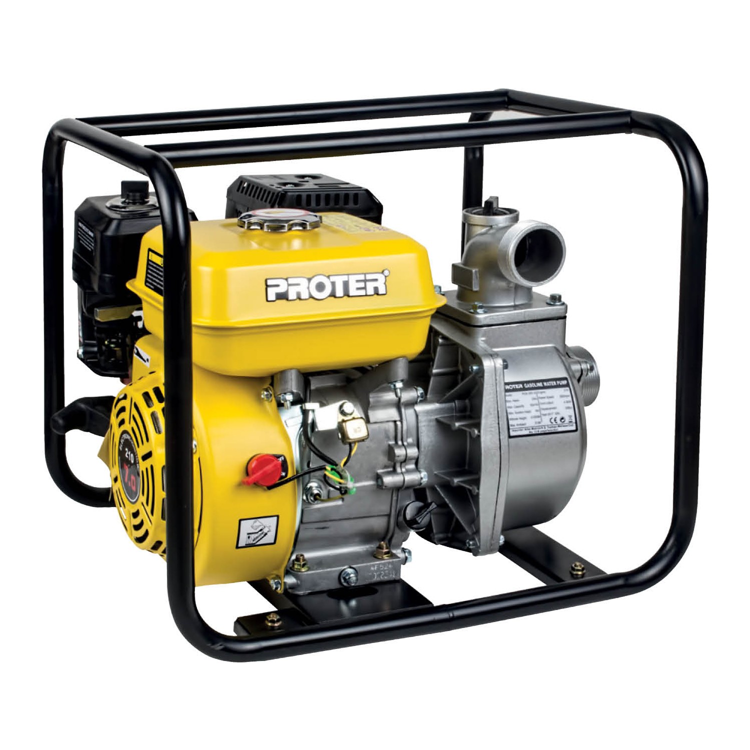 Proter Proter Pgs 200 G Benzinli Su Motoru Su Dinamosu 2" Fiyatı