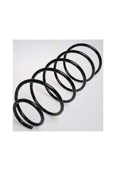 Günsan Helezon Yayı Ön Renault R21