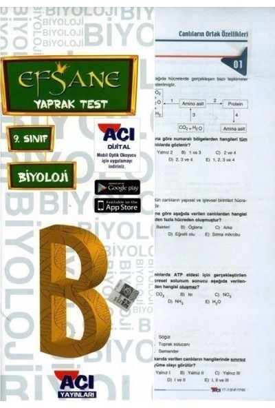 Açı 9. Sınıf Biyoloji Çek Kopart Yaprak Test Açı 9. Sınıf Biyoloji Çek Kopart Yaprak Test