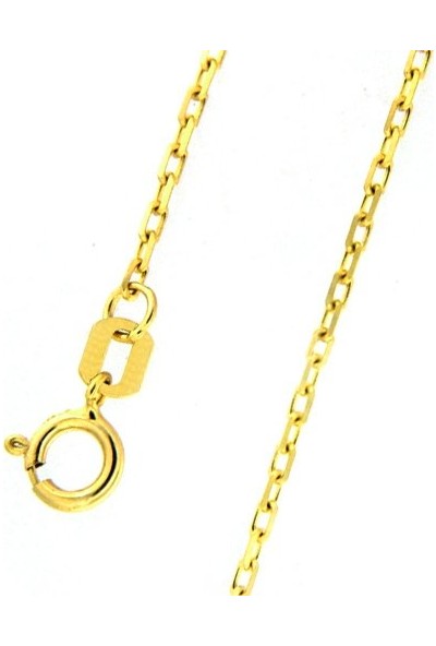 Bilezikci 22 Ayar Altın Forse Zincir