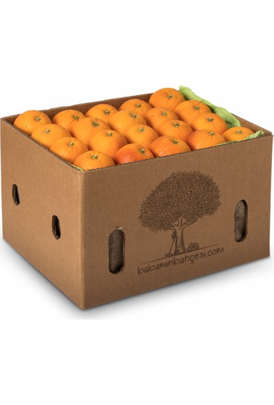 Babamın Bahçesi Sıkmalık Portakal 9 kg Babamın Bahçesi Sıkmalık Portakal 9 kg