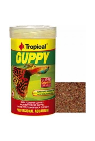 Tropical Guppy Lepistes İçin Pul Yem 100ml