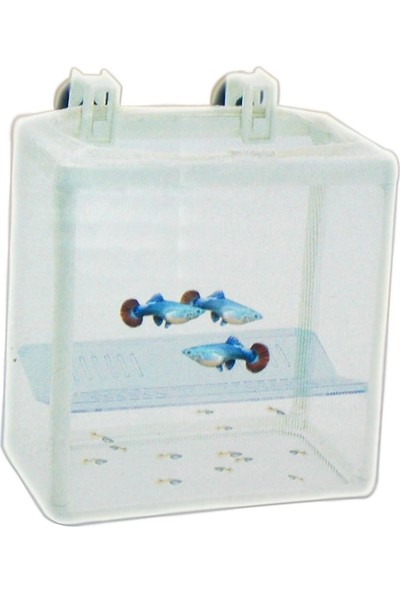 Dophin BB-12 Tül Balık Yavruluk