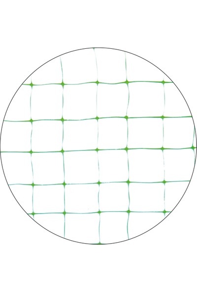 Bahçem Pwc Kuş Teli Yeşil