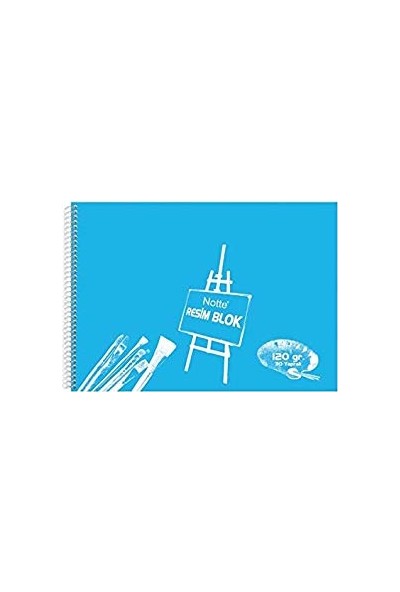 Zirve Plastik Kapak Spiralli Resim Defteri 35X50