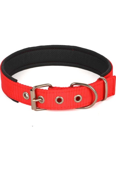 Pet Preety Yumuşak Doku Boyun Tasması 2*45 cm