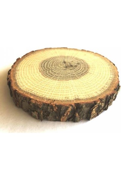 Kayra Doğal Ahşap Kütük Nikah Şekeri ObJesi 60 adet (Odun Dilimi) Kayra Doğal Ahşap Kütük Nikah Şekeri ObJesi 60 adet (Odun Dilimi)