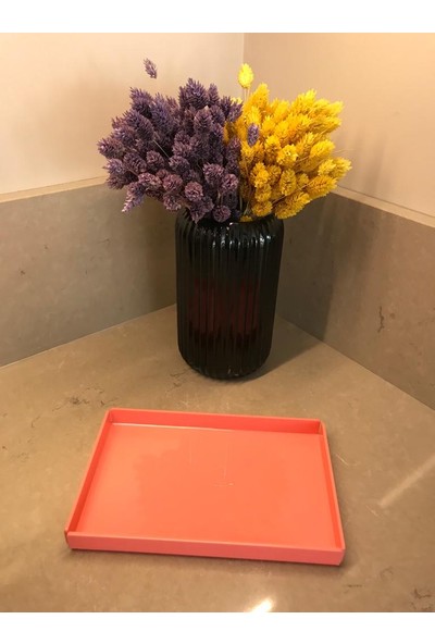 Hyatt Concept Pleksiglas Tepsi