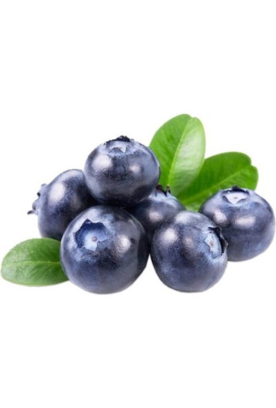 Sebze Meyve Dünyası Yaban Mersini 100 gr