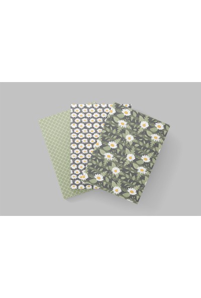 Day Store Defter Seti I - 3'lü - A5 - Düz, Çizgili, Noktalı- Karton Kapak Day Store Defter Seti I - 3'lü - A5 - Düz, Çizgili, Noktalı- Karton Kapak
