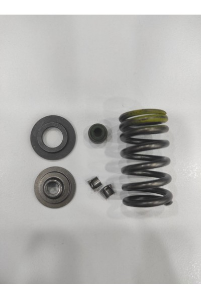 Bajaj Sübap Keçe Yay Takımı Bajaj Pulsar NS200 Bajaj Sübap Keçe Yay Takımı Bajaj Pulsar NS200