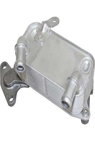 359001602450 Sanziman Yag Sogutucu (WC418893)