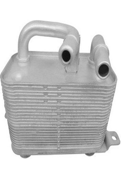 359001602230 Sanziman Yag Sogutucu Bmw E60 E65 M54 17217519213 (WK369461)