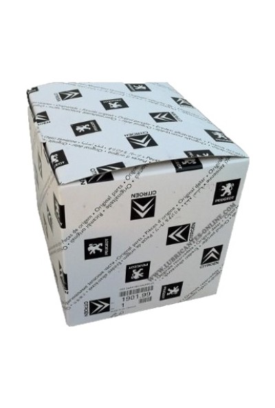 Orijinal 1536.L9 Benzin Depo Baglanti Ayak 1536L9 (WA193116)