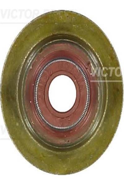 70-35241-00 Subap Lastigi Twingo-Clio Iı-Symbol Iı-Kangoo 1.2 16V 75HP 01 8200082487 703524100 (WA742724) (10 Takım Fiyatıdır) 70-35241-00 Subap Lastigi Twingo-Clio Iı-Symbol Iı-Kangoo 1.2 16V 75HP 01 8200082487 703524100 (WA742724) (10 Takım Fiyatıdır)
