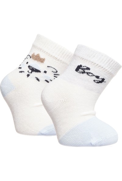 Step 2 Li Sakallı Tavşan-Aslan Soket Step 2 Li Sakallı Tavşan-Aslan Soket