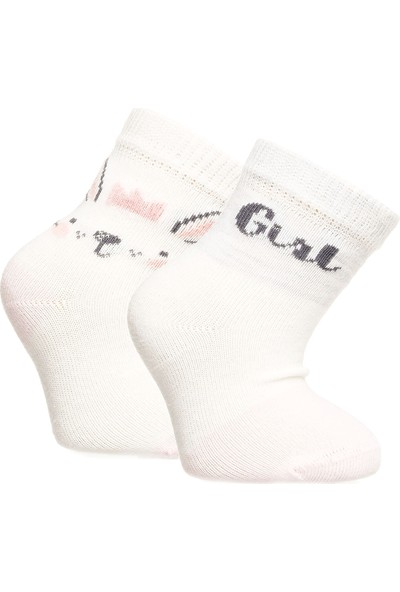 Step 2 Li Sakallı Tavşan-Aslan Soket Step 2 Li Sakallı Tavşan-Aslan Soket