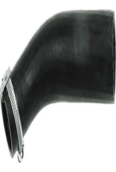 RAPRO R16252 Turbo Hortumu ( Peugeot : 305 405) 1201163 (WF376379A)