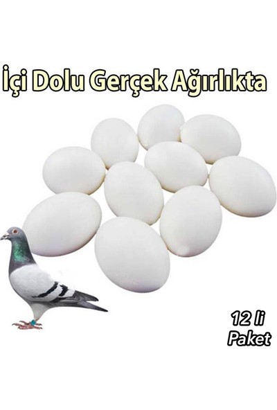 Aqua Pets Sahte Güvercin Yumurtası 12'li (Içi Dolu) Aqua Pets Sahte Güvercin Yumurtası 12'li (Içi Dolu)