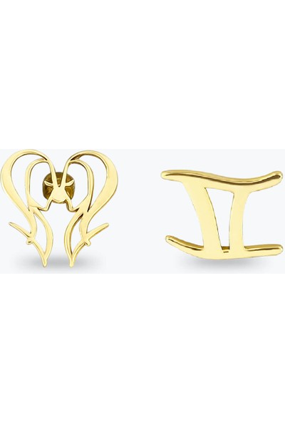 Altınbaş Altınbaş Altınbaş Burç Ikizler Küpe