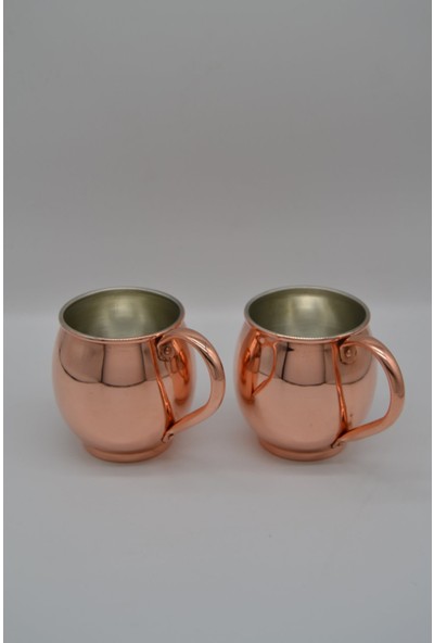 Turtle Home Decor Bakır Bardak KULPLU 400CC 2li​​​​​​​