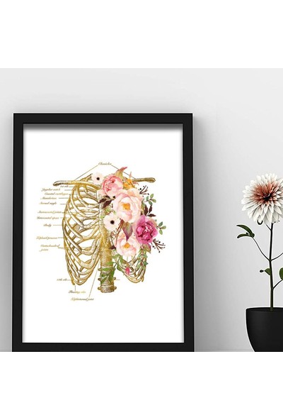 Insan Anatomisi, Göğüs Kafesi, Iskelet Sanatsal Doktor Odası Duvar Tablosu Insan Anatomisi, Göğüs Kafesi, Iskelet Sanatsal Doktor Odası Duvar Tablosu