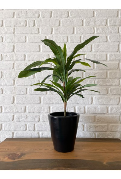 Odka Uzun Konik Saksı Tabaklı 25CM Odka Uzun Konik Saksı Tabaklı 25CM