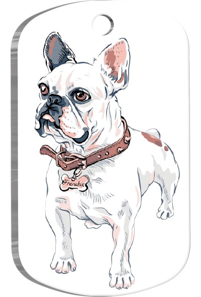 See Me French Bulldog 2 Resimli Köpek Künyesi